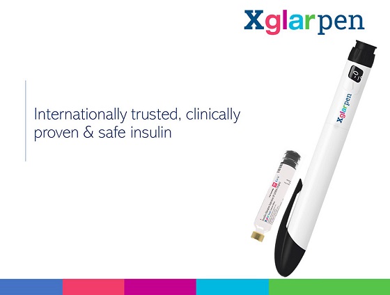 XGlar Bootstrap Template - Index