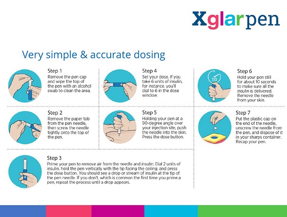 XGlar Bootstrap Template - Index