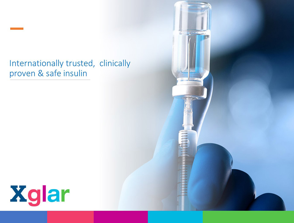 XGlar Bootstrap Template - Index